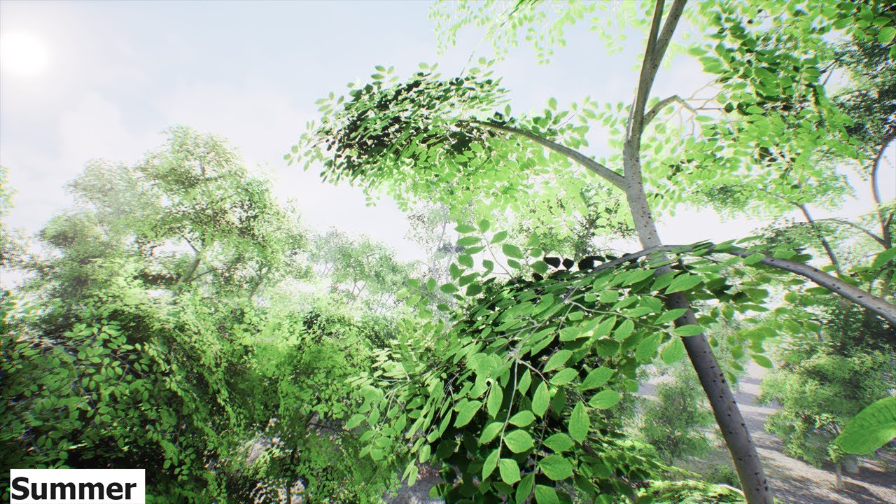 Realistic Nature Models Unreal Engine - YouTube