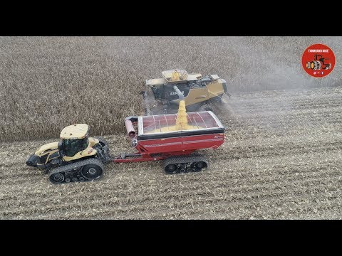 2018 Corn Harvest with T K Farms - Darke County Ohio - YouTube