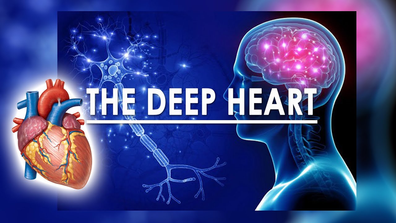 06. The Deep Heart - YouTube
