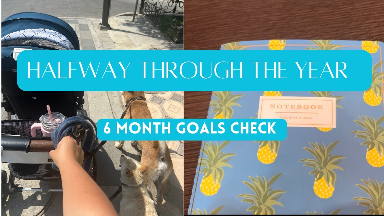 MY 6 MONTH GOALS CHECK IN - halfway through the year - YouTube