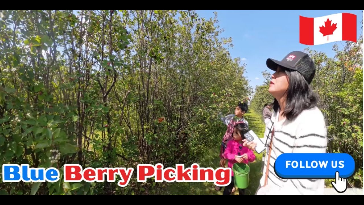 Mamimitas muna kami ng berry. - YouTube