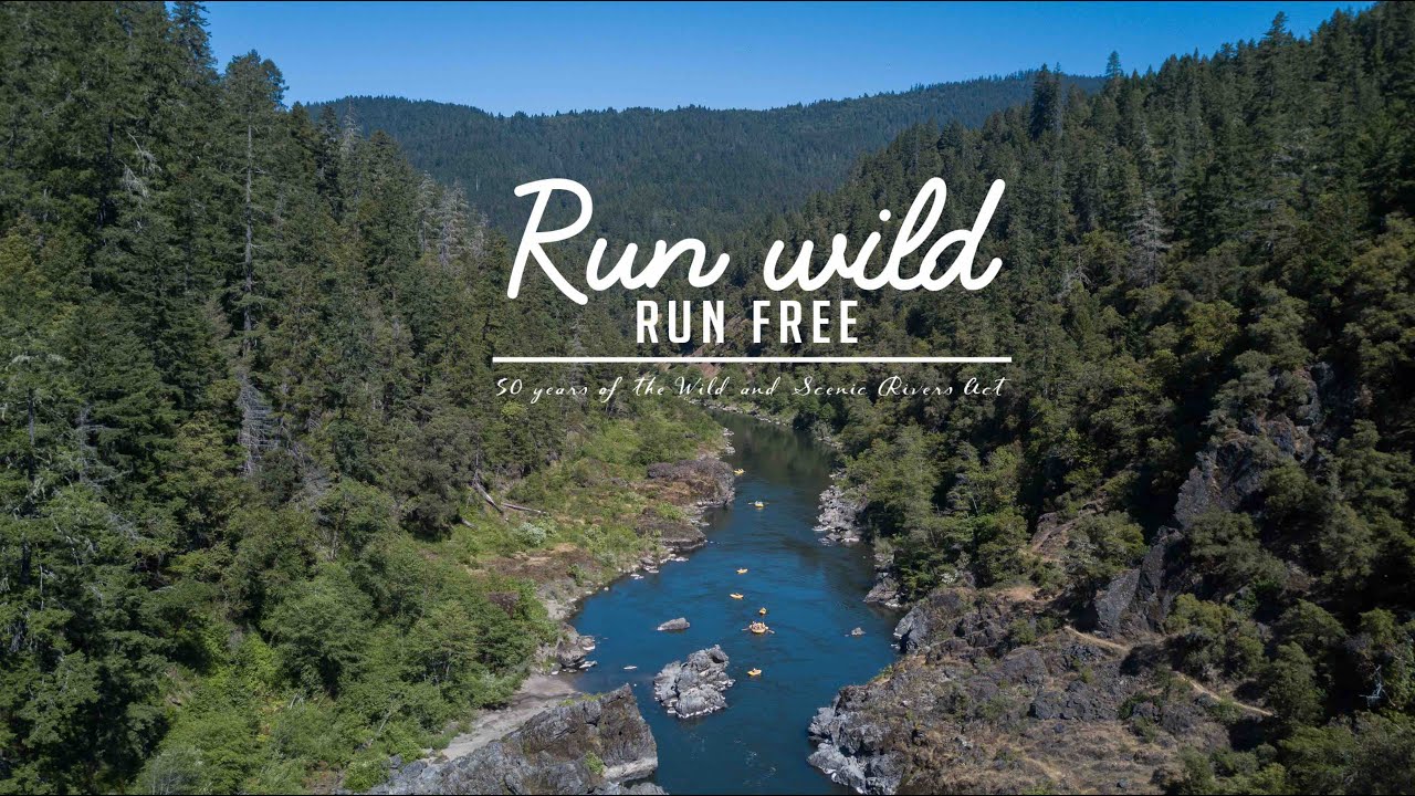 Run Wild Run Free: 50 Years Of Wild and Scenic Rivers_Full Film - YouTube