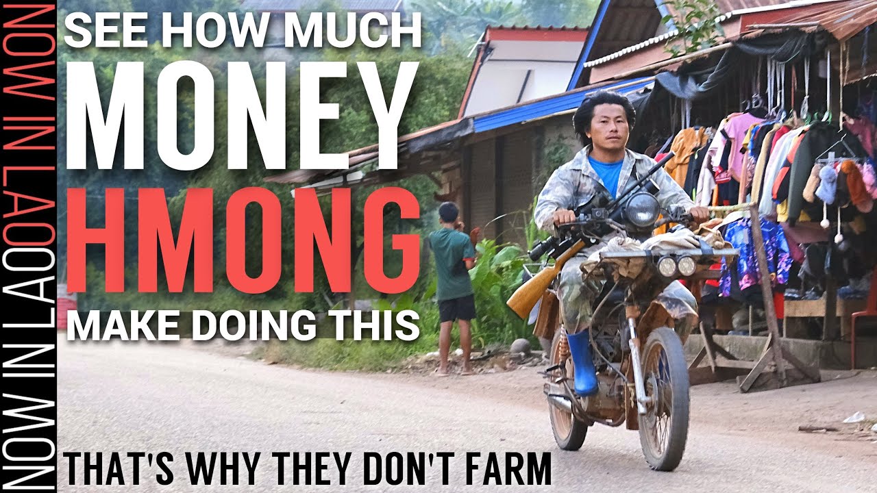 How the HMONG MAKE MONEY and HOW MUCH | Now in Lao - YouTube