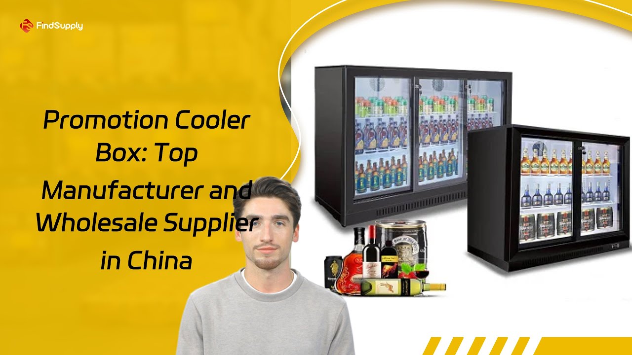 Promotion Cooler Box: Top Manufacturer and Wholesale Supplier in China ...