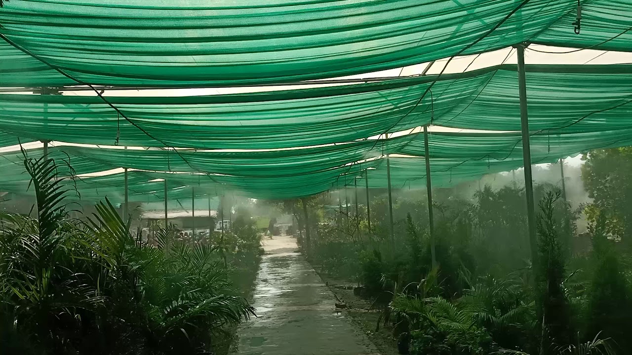sunderban-hi-tech-nursery-faridkot-youtube