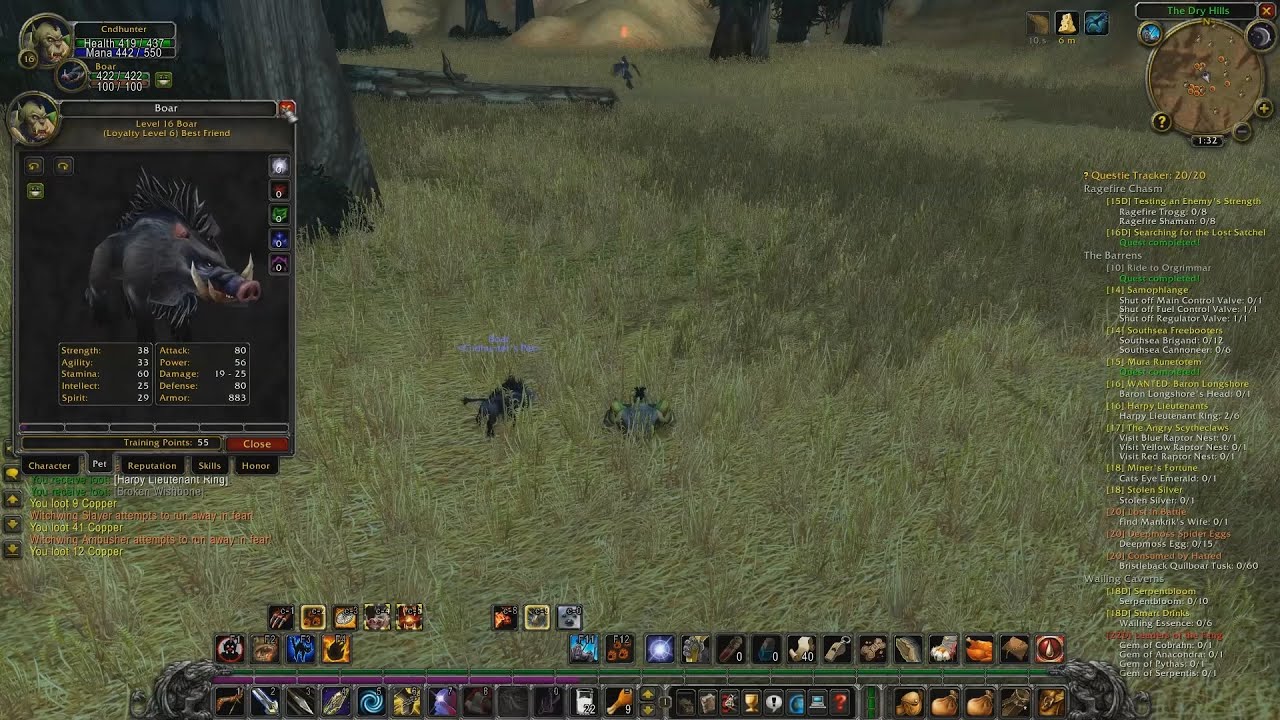 World of Warcraft Classic - Orc Hunter #25 - YouTube