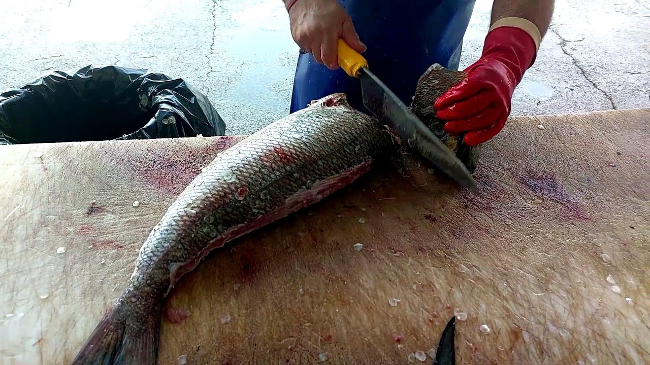 Fastest Fish Cutting knife | How To Fillet Fish - YouTube