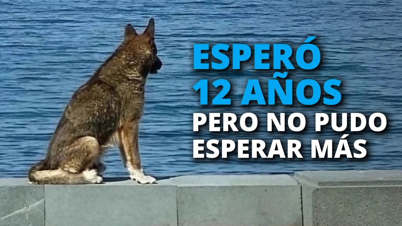 Su tiempo se terminó, no pudo esperar mas Mukhtar - YouTube