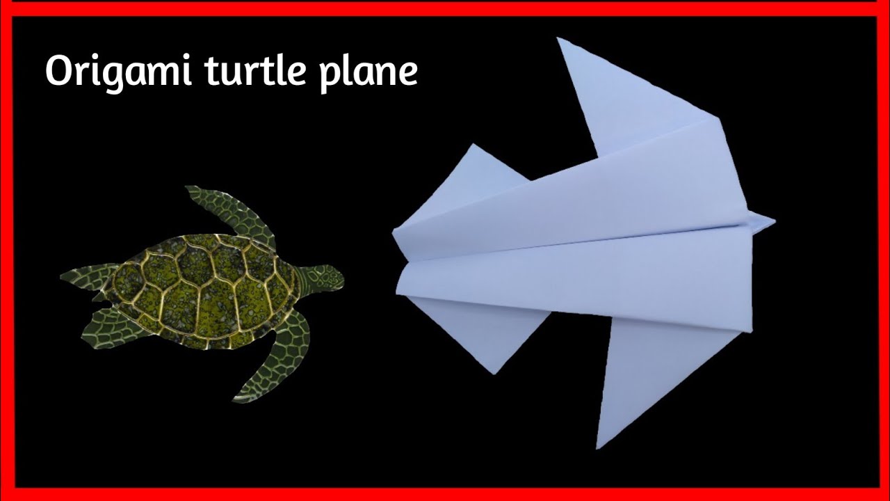 How to make a turtle paper airplane | Origami turtle |Folding Paper ...