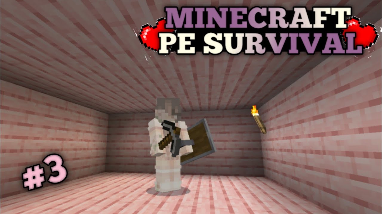 Pink Land Episode 3 [3rd Floor] | Minecraft - YouTube