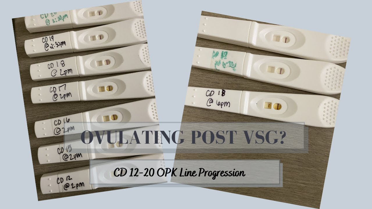 The Two Week Wait |CD 12-20 OPK Line progress using Up & Up OPKs| Crazy ...