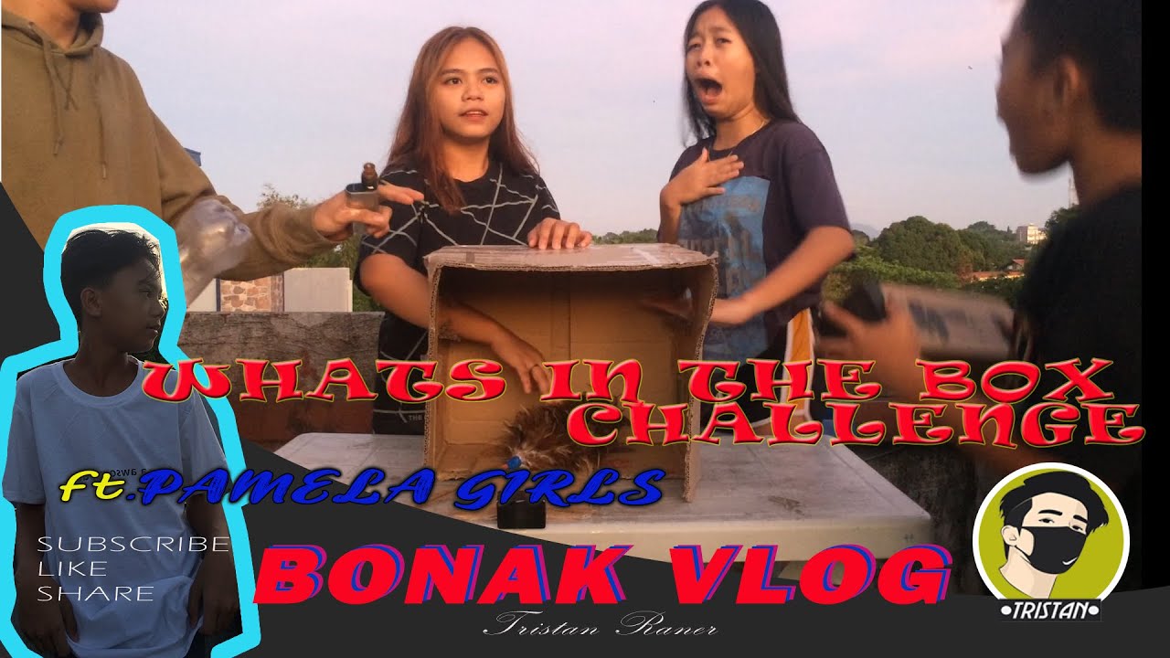 WHATS IN THE BOX CHALLENGE ft.PAMELA GIRLS / BONAK VLOG - YouTube
