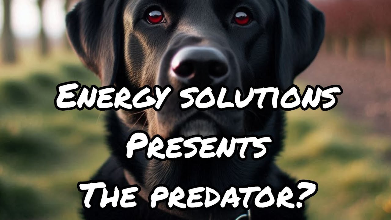 The predator? Is my dog a predator? he's hunting me? HELP! 😨😰🐕🐶🐾 - YouTube