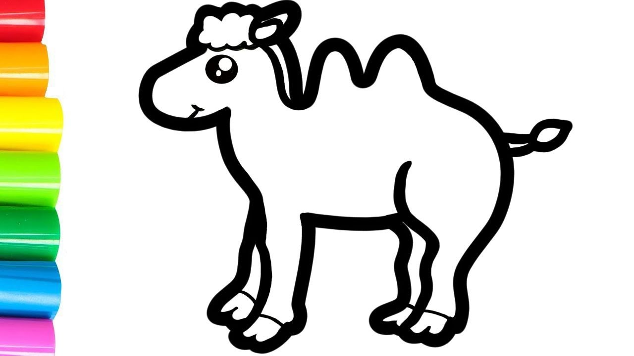 How to draw a camel for children/Cómo dibujar un camello para niños ...
