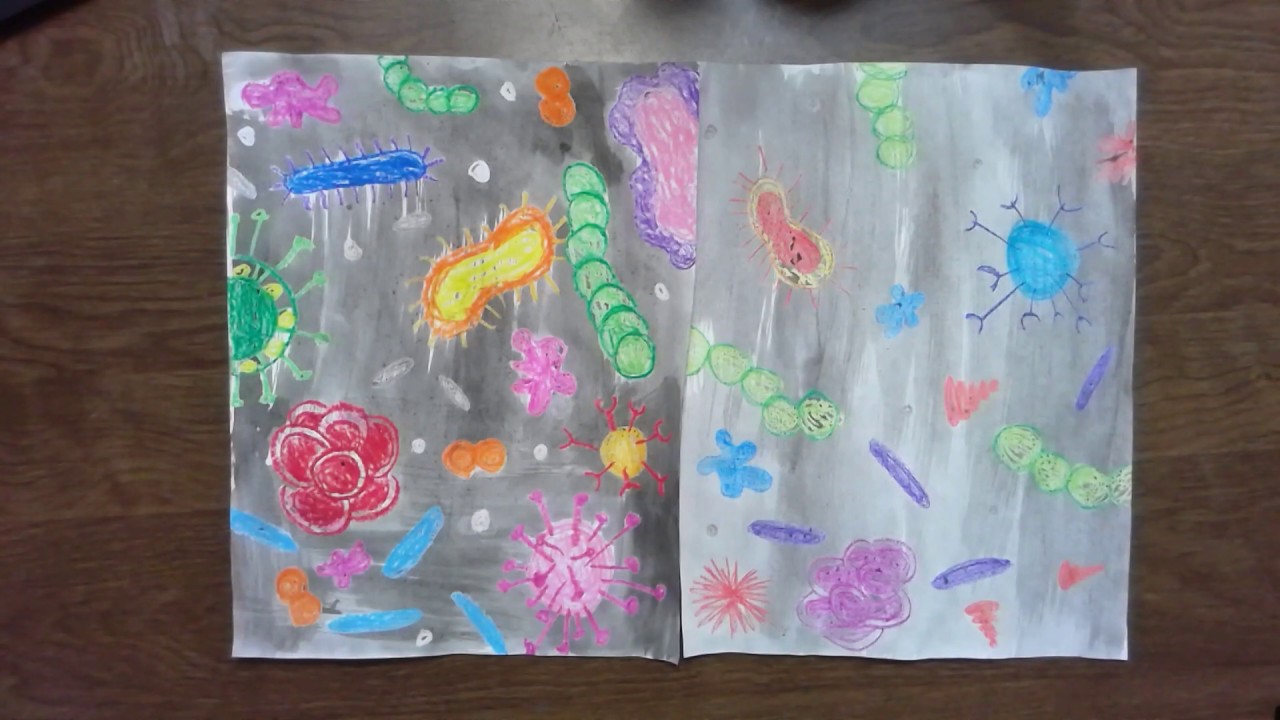 Microorganisms Drawing Activity - YouTube
