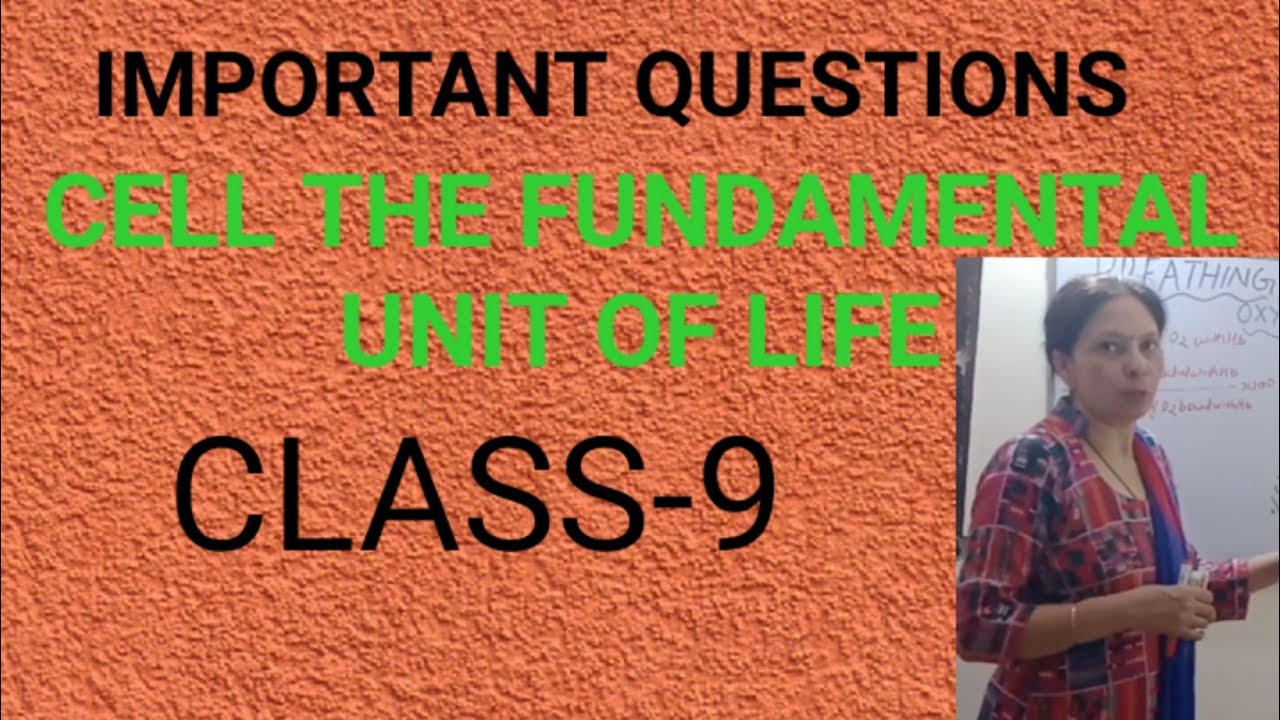 IMPORTANT QUESTIONS/ CHAPTER- CELL THE FUNDAMENTAL UNIT OF LIFE /CLASS ...