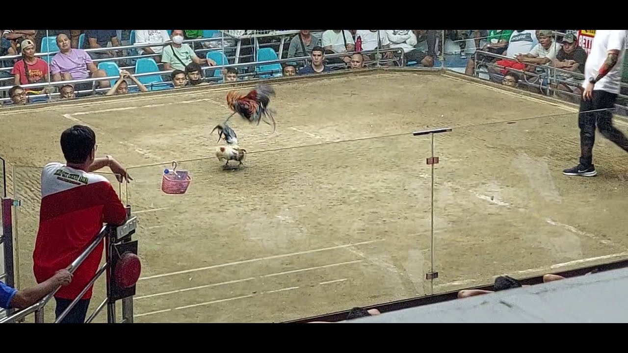 For the second time. Another superb performance. @Pasay Cockpit Arena ...