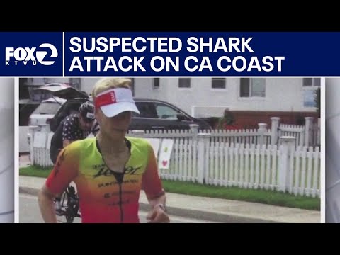 Woman killed in suspected shark attack along California coast | KTVU