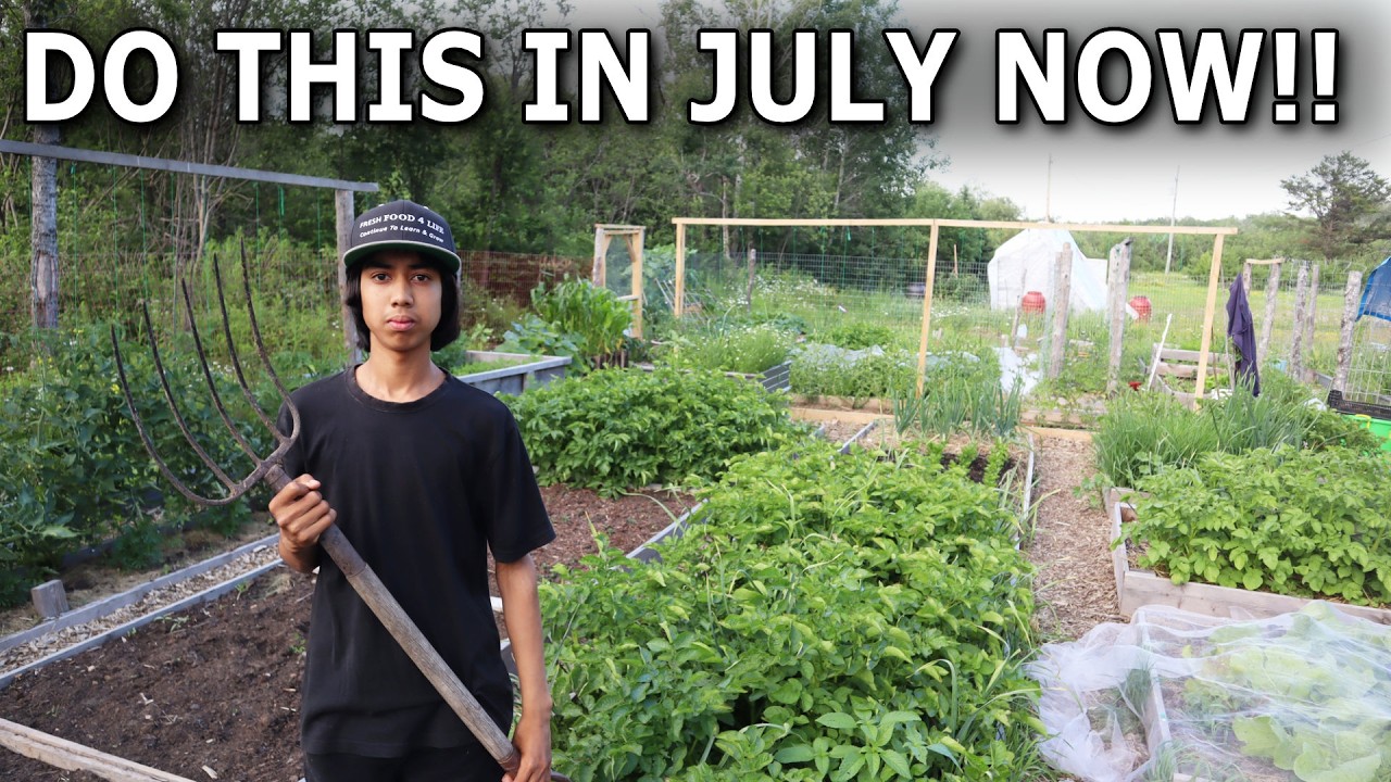 Critical July Garden Tasks Every Gardener Should Do ASAP! - YouTube