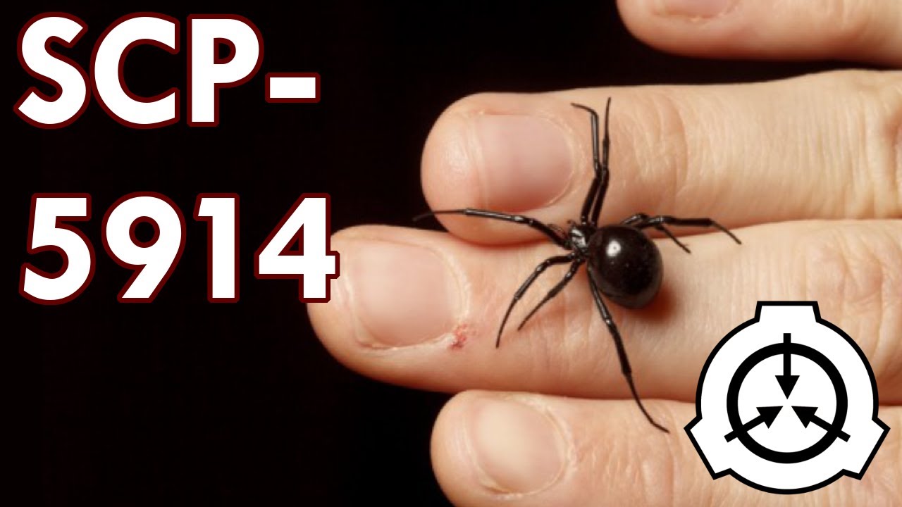 SCP-5914 | A Spider You Cannot See A Second Time | Keter | Antimemetic ...