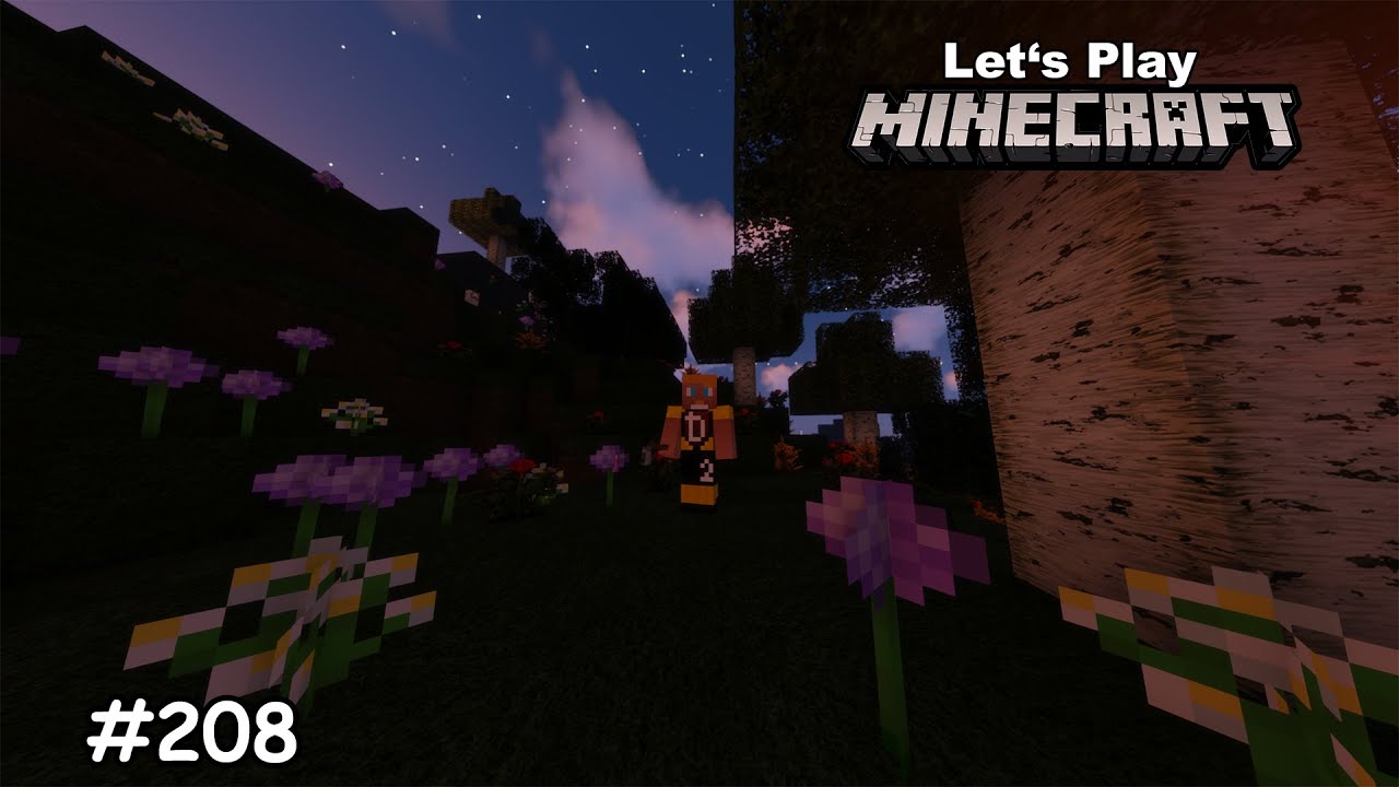 Minecraft | #208 | Fragen an Partner XD9BFivegaming! - YouTube