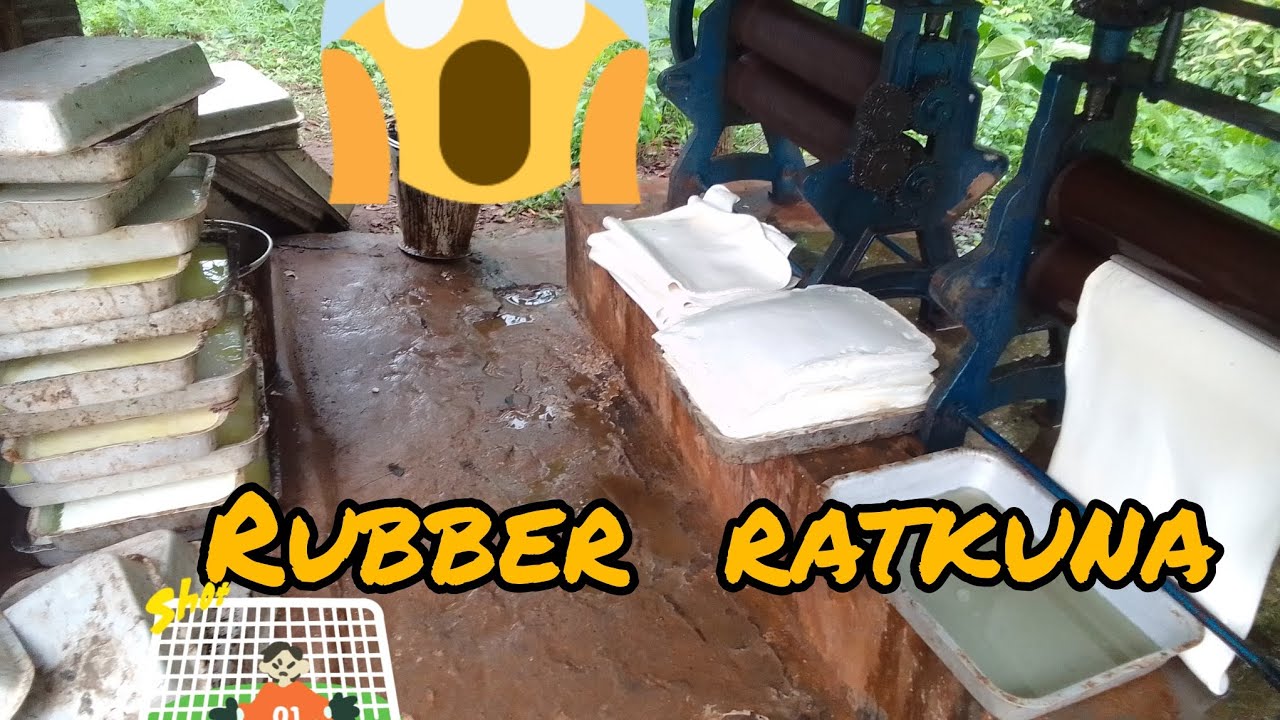 Rubber ratkuna aro jeta 🚜🚒⚾🏏🏀🥎🥎⚽🏐🏀🥎⚽🩰 - YouTube