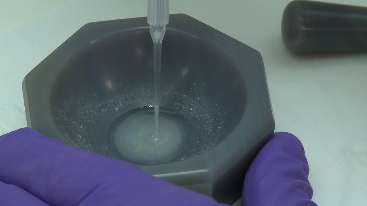 Process and steps of sample analysis - YouTube