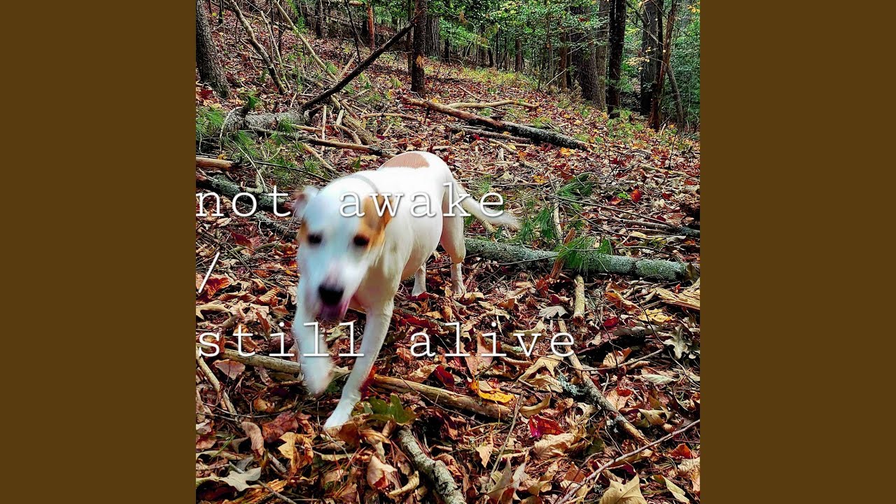 not awake / still alive - YouTube