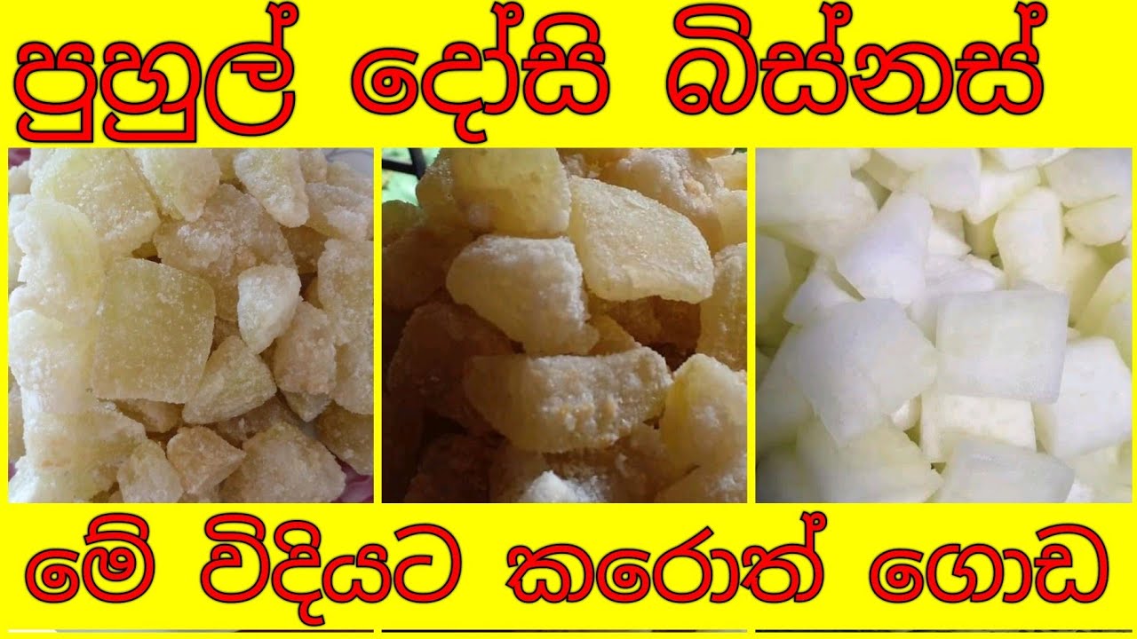 puhul dosi business | පුහුල් දෝසි බිස්නස් - ස්වයං රැකියා - YouTube