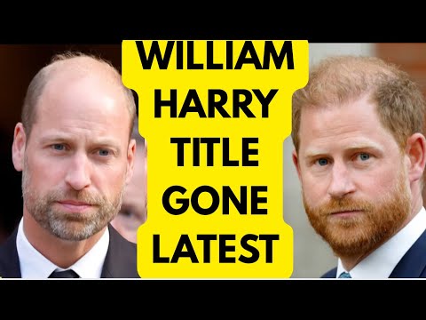 HARRY & WILLIAM: TITEL VERLOREN – DAS NEUESTE #royal #princeharryandmeghanmarkle #britischeskönig...