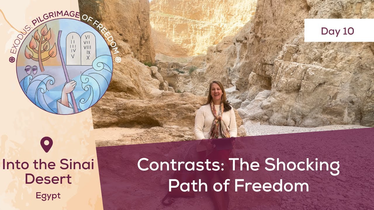 Day 10: Contrasts: The Shocking Path of Freedom📍Sinai Desert |Exodus ...