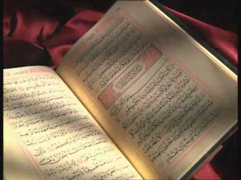 Quran ayələrindən təkamül nəzəriyyəsinə dəlil gətirməyə çalışanların yanılmaları -1 -