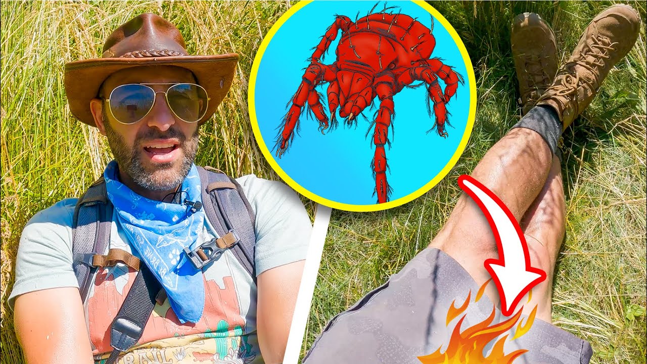 Laying in a Field of FLESH EATING Mites! - YouTube