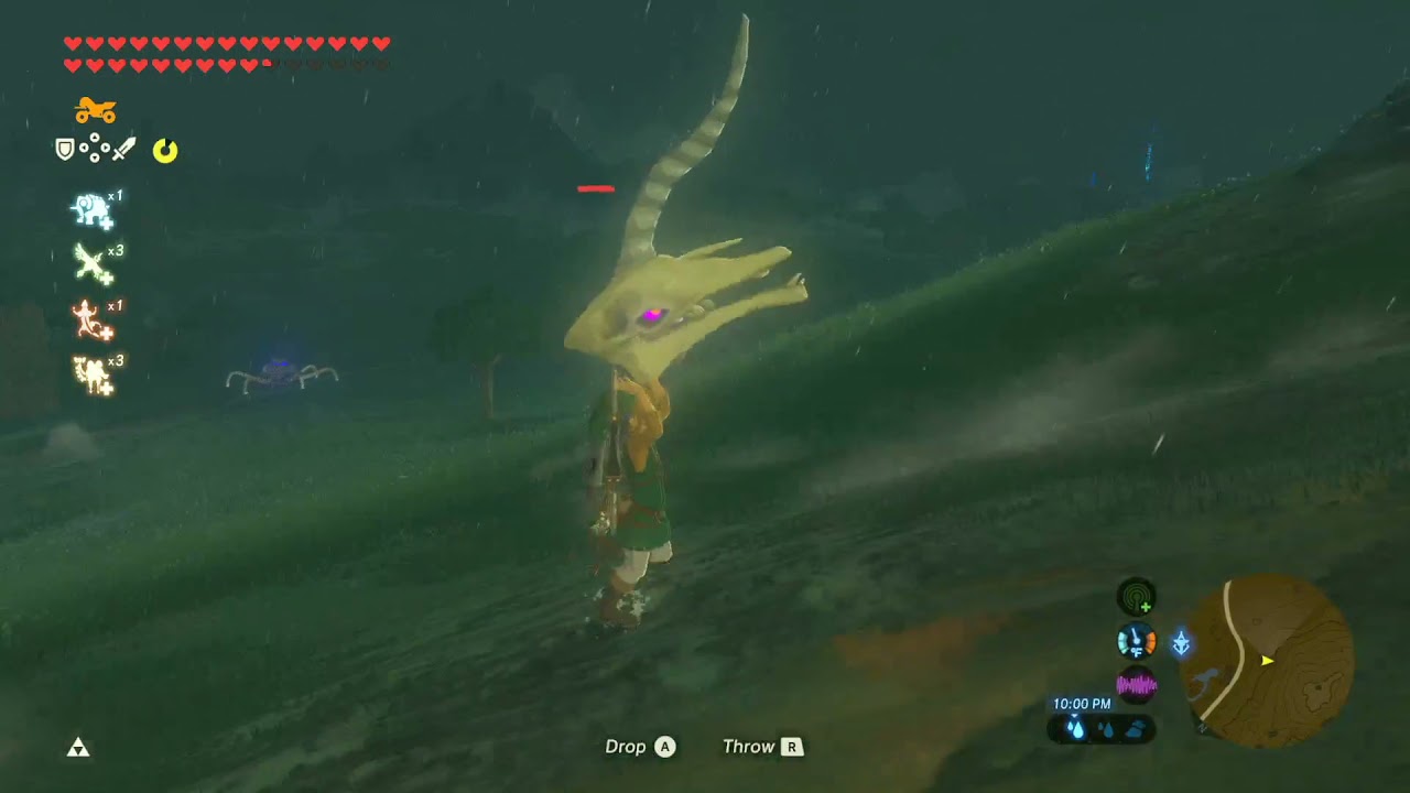 Apparently you can pick up and kick Stal enemies skulls in botw - YouTube