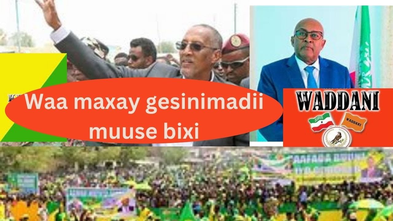 Warbixin: Geesinimadii uu sameeyey muuse bixi maxaya ahayd? - YouTube