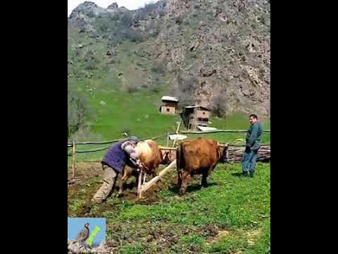 GEÇİP GİTTİ YILLAR...!!!