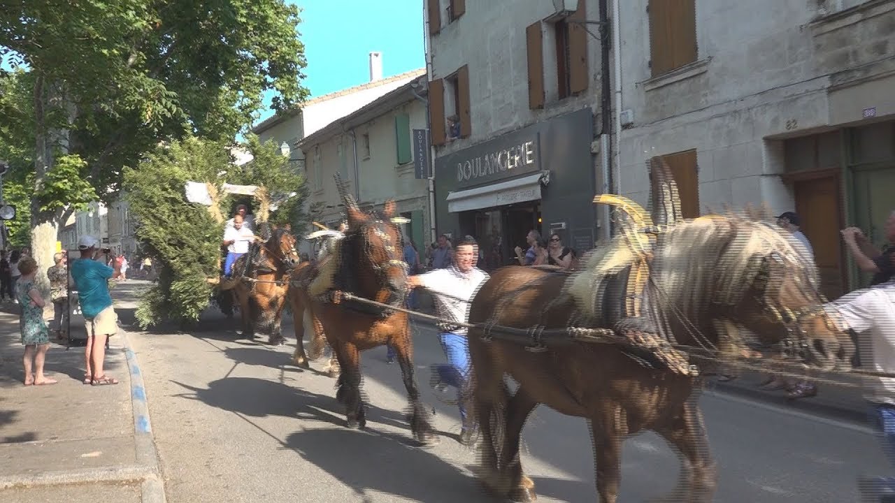 St Eloi 2018 à Maussane-lès-Alpilles, La charette au grand trot - YouTube