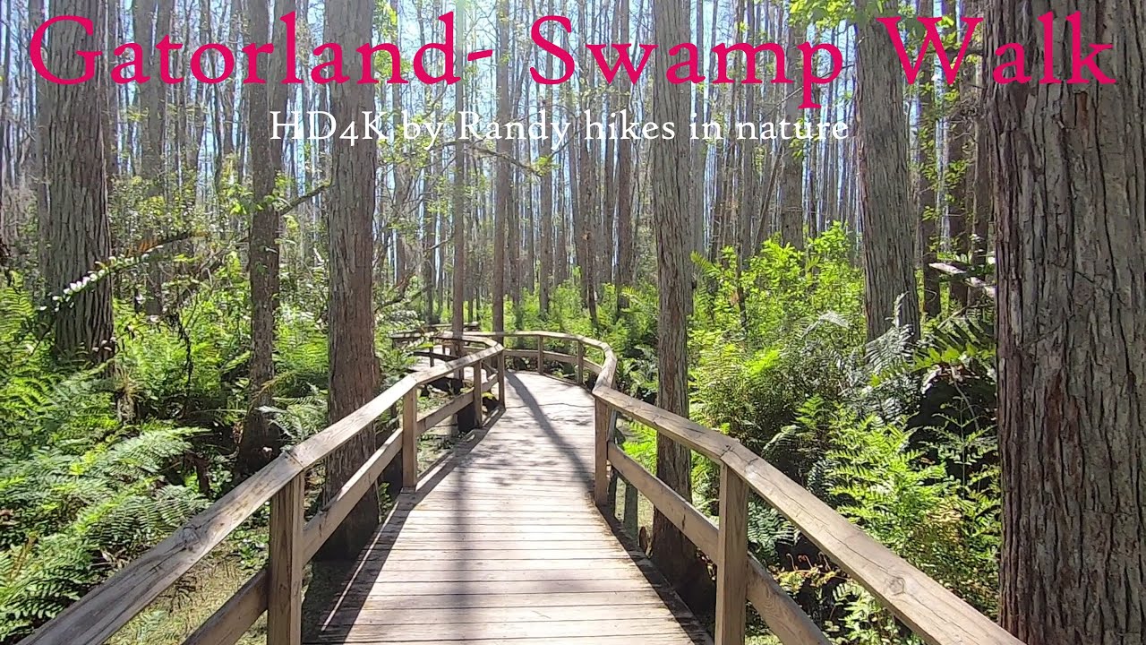 Gatorland- Swamp Walk - YouTube