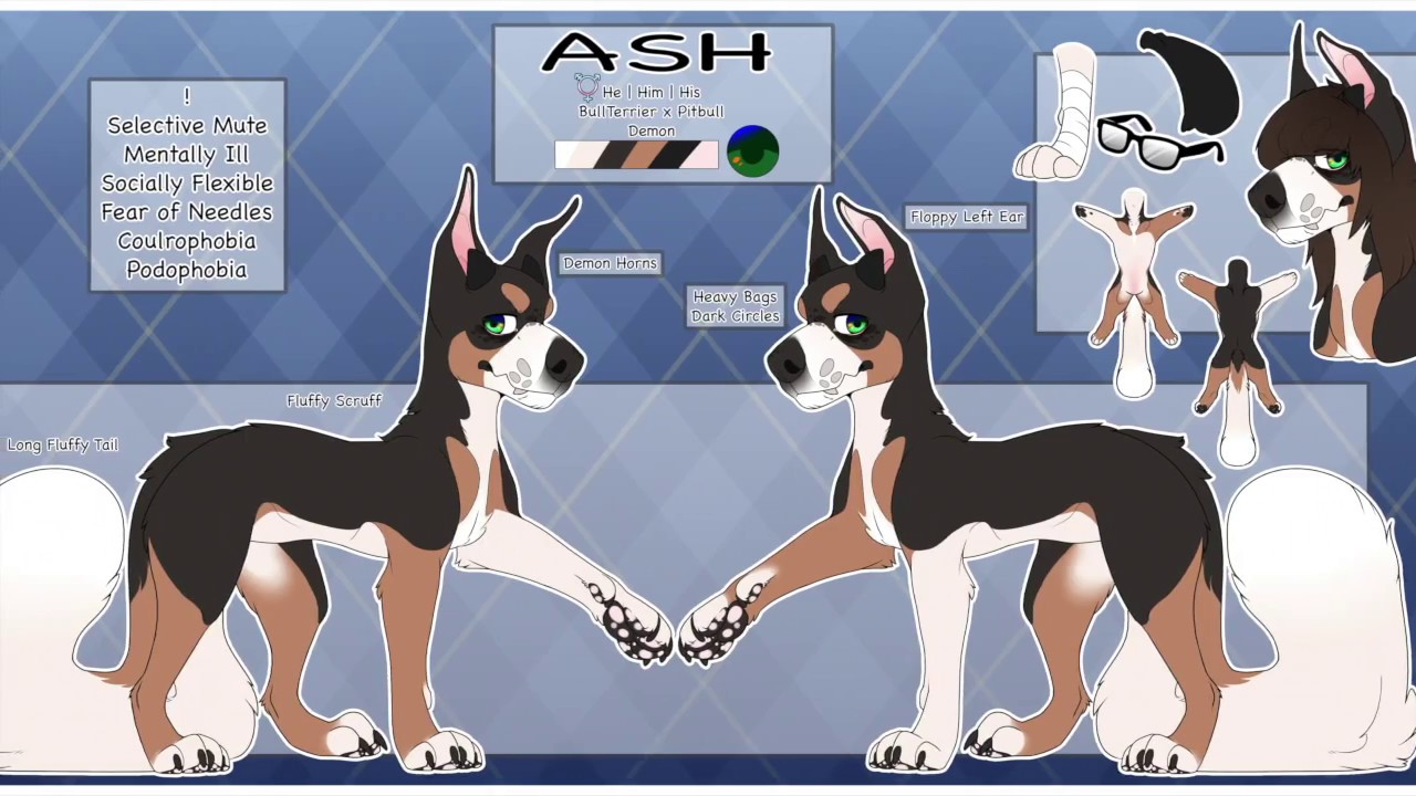 Ash's Reference Sheet 2017 - YouTube