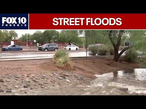 Mesa's Sunset RV Park experiences flooding | FOX 10 Phoenix