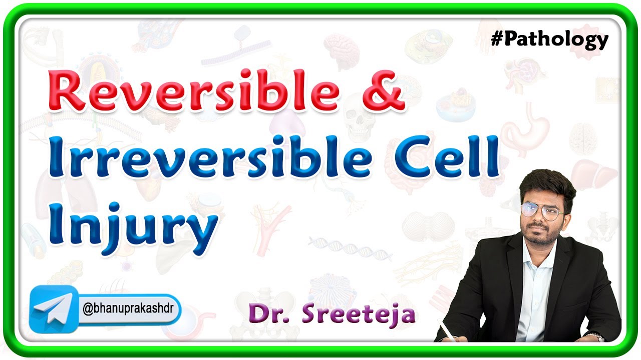 1. Reversible And Irreversible Cell Injury : USMLE Step 1 Pathology ...