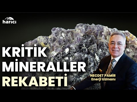 Küresel Ekonominin Geleceğini Kim Şekillendirecek? / Enerji Uzmanı Necdet Pamir anlatıyor | Harici
