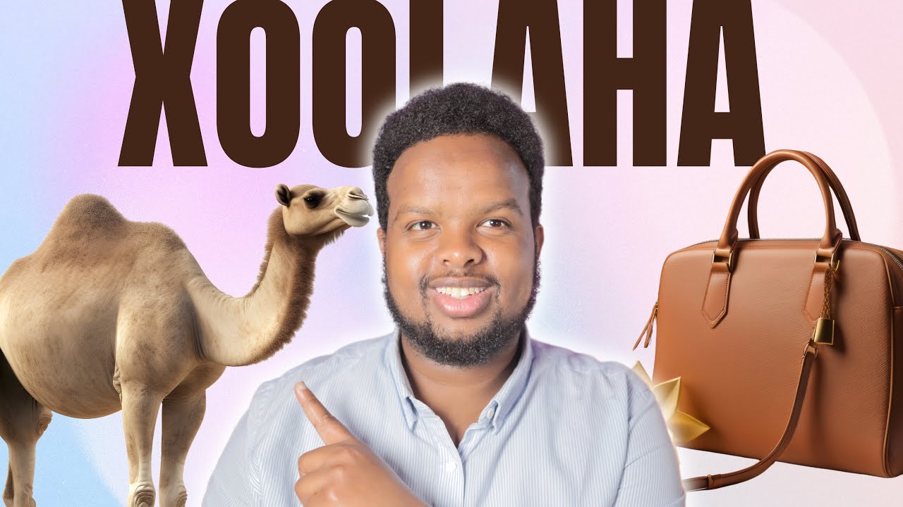 5 QAAB OO XOOLAHA LACAG LOOGA SAMAYN KARO - YouTube