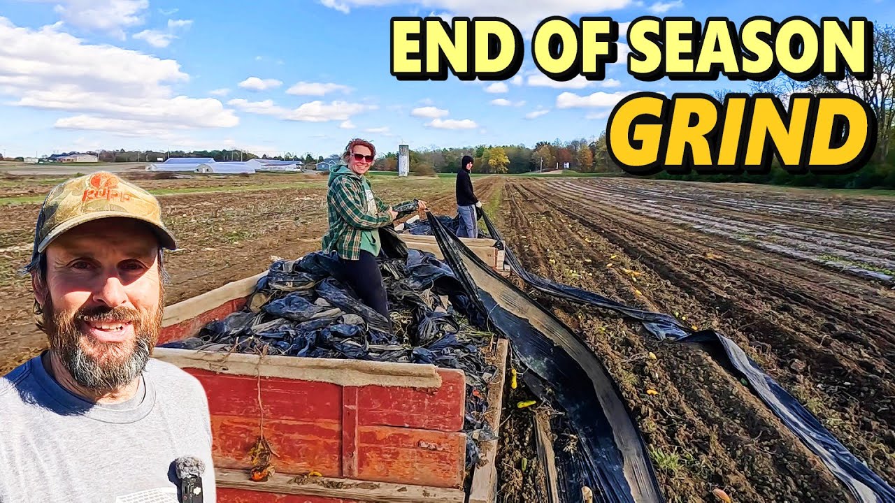 The Most Dreaded Farm Task: PLASTIC Mulch Removal! - YouTube