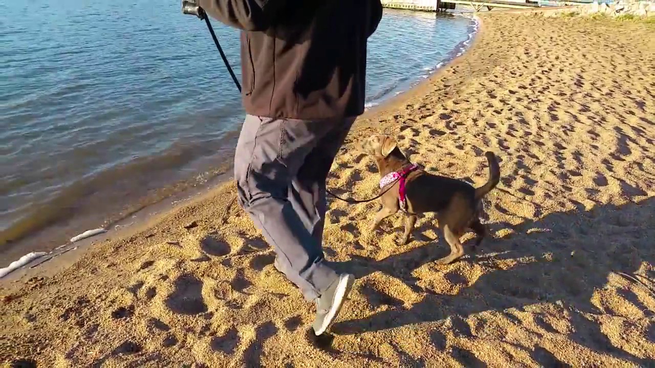 Rae swim 1 - YouTube