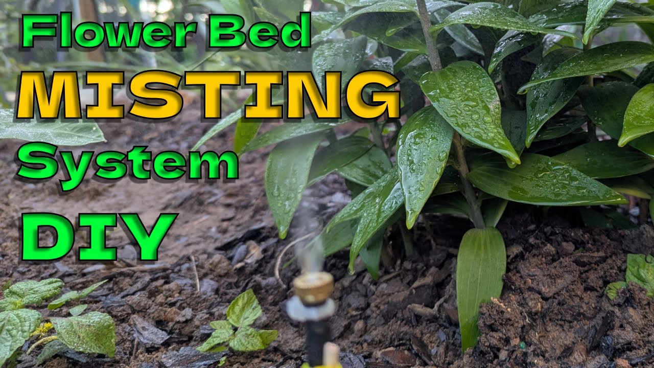 "No More Dead Plants! My Easy Misting Setup You Can Build Too" - YouTube