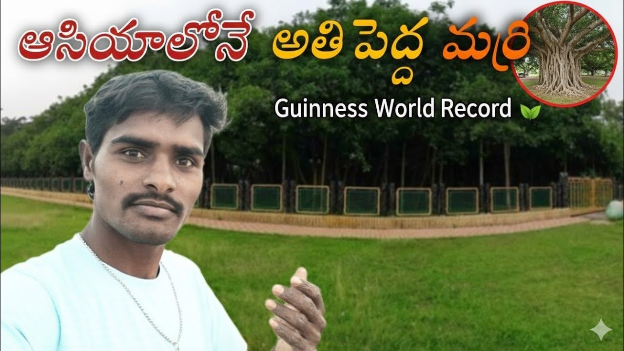 Biggest Banyan Tree | Thimmamma Marrimanu Full Tour | World’s Largest ...