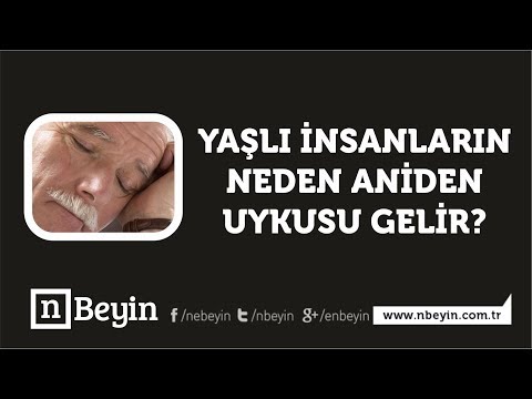[n]Beyin - Yaşlı İnsanların Neden Aniden Uykusu Gelir?