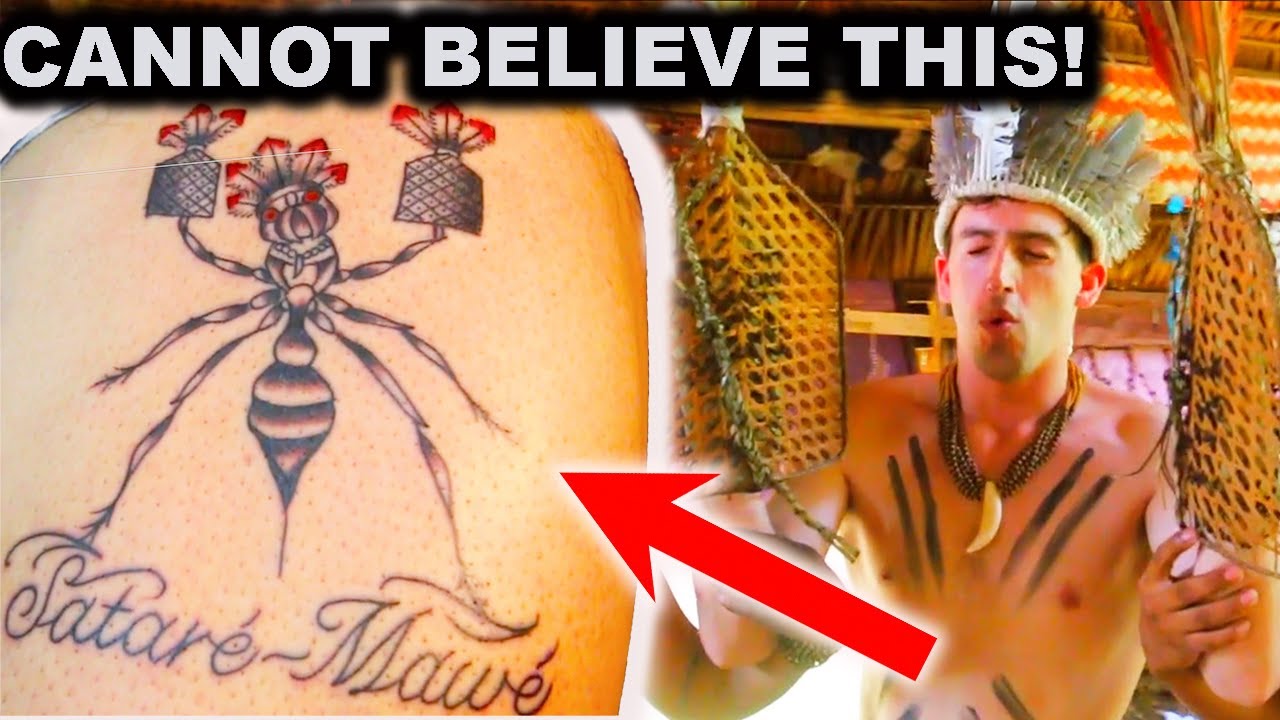 GOT A TATTOO OF THE BULLET ANT GLOVE RITUAL! (Brazil) - YouTube