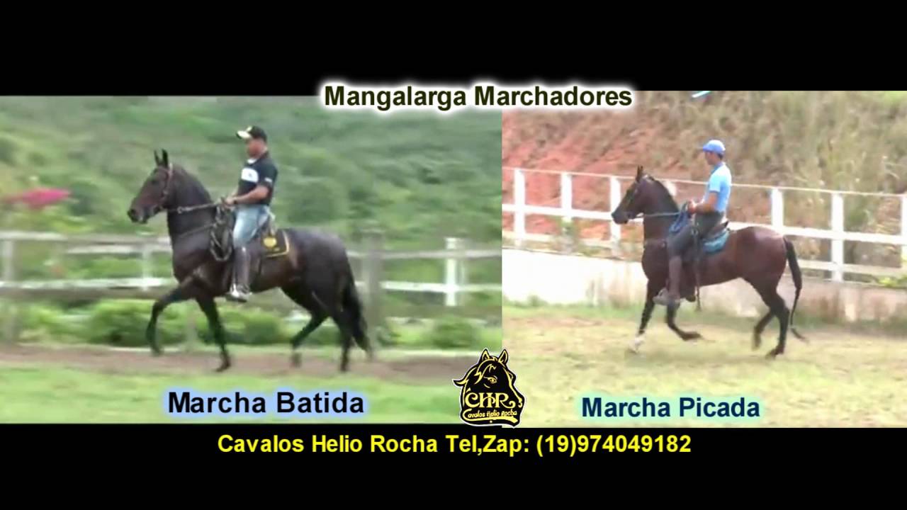Marcha Batida x Marcha Picada - YouTube